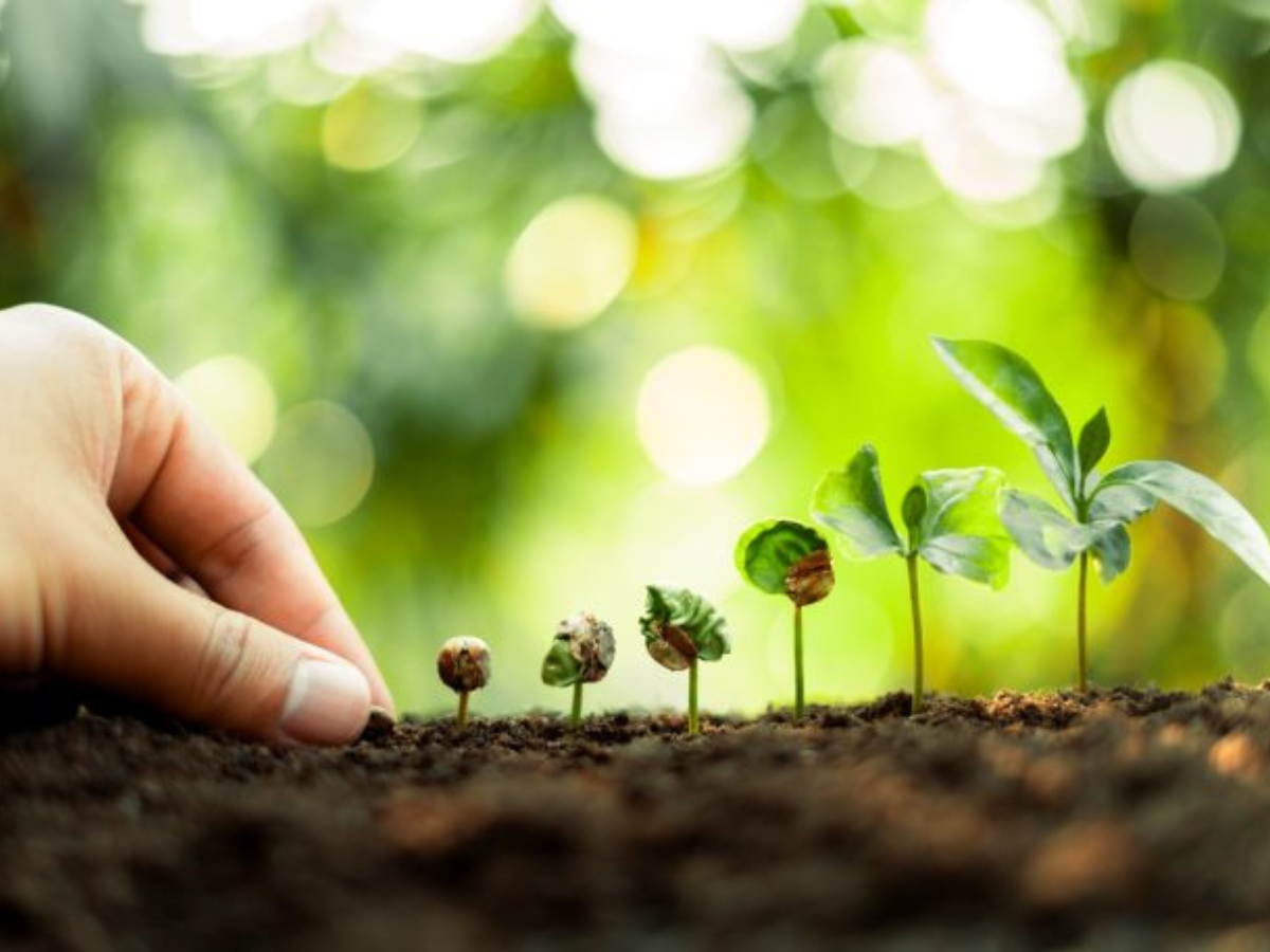 Top 10 Values we abide by at Cupik Design – Cupik Design India